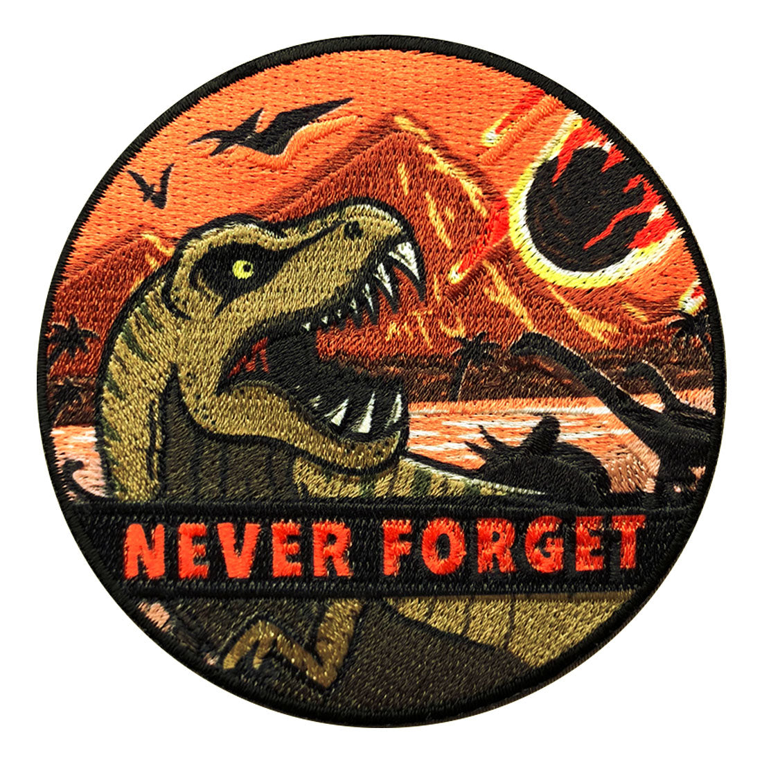Dinosaur Never Forget Asteroid Humor Patch (Embroidered Hook) – MILTACUSA